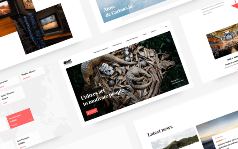 Entry Tips | International Design Awards™